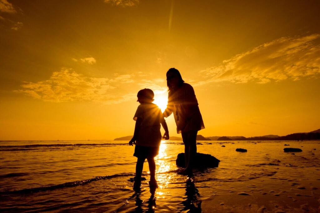 Solo Parent ID Guide 2026: How to Apply, Renew, and Access Government ...